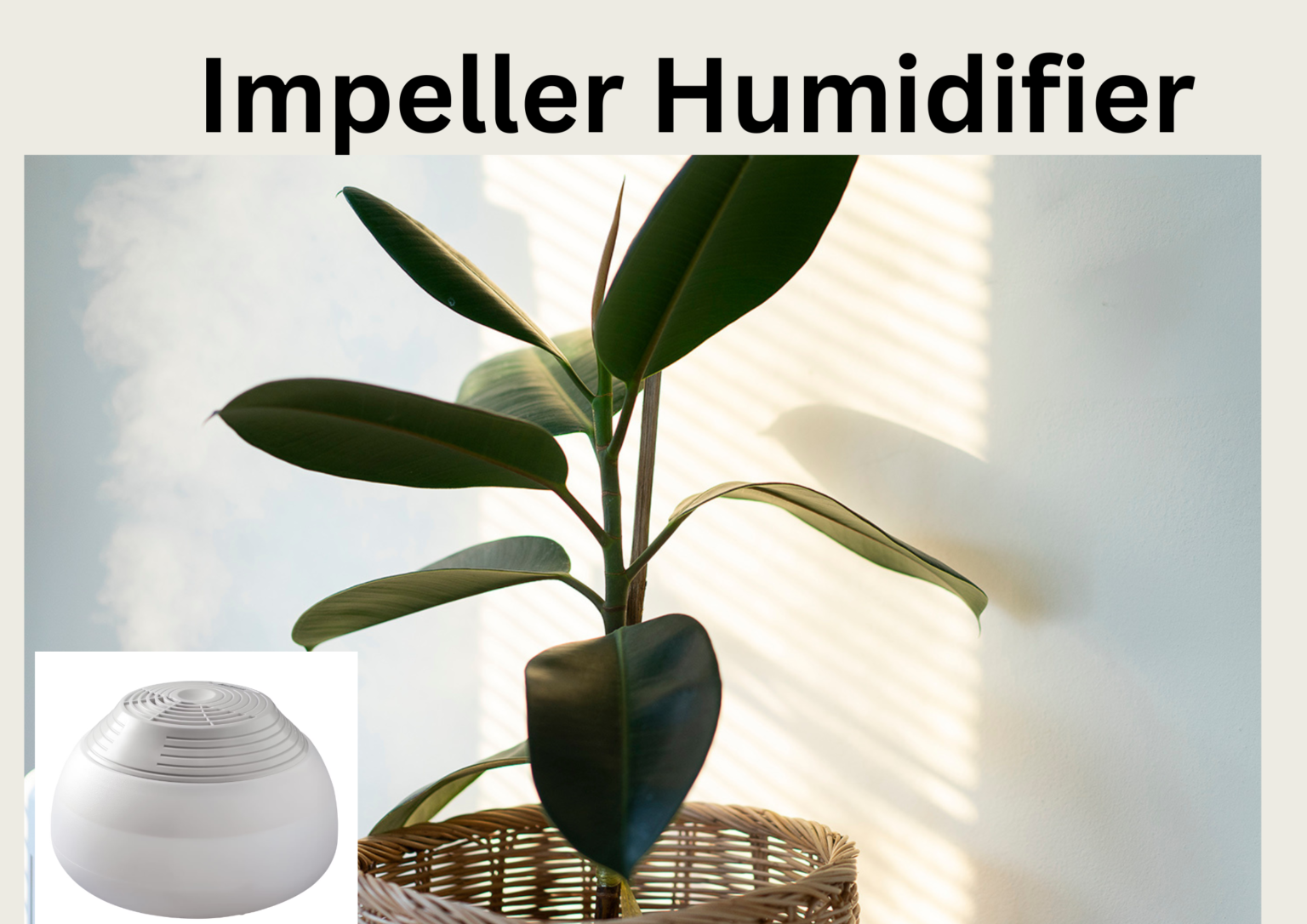 How Do Humidifiers Work? A Complete Guide 2025