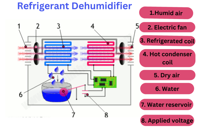 How Does a Dehumidifier Work? Complete Overview - Appliances for Your Home