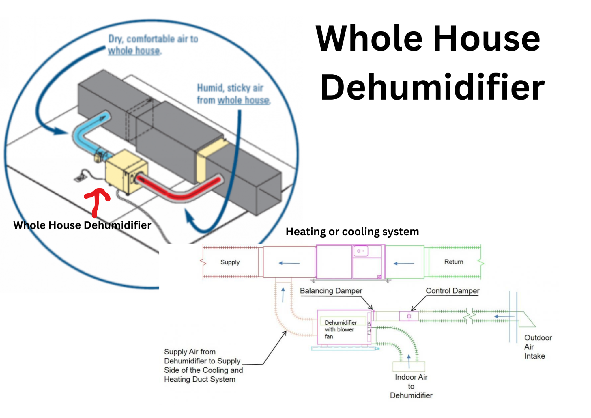 How Does a Dehumidifier Work? Complete Overview - Appliances for Your Home